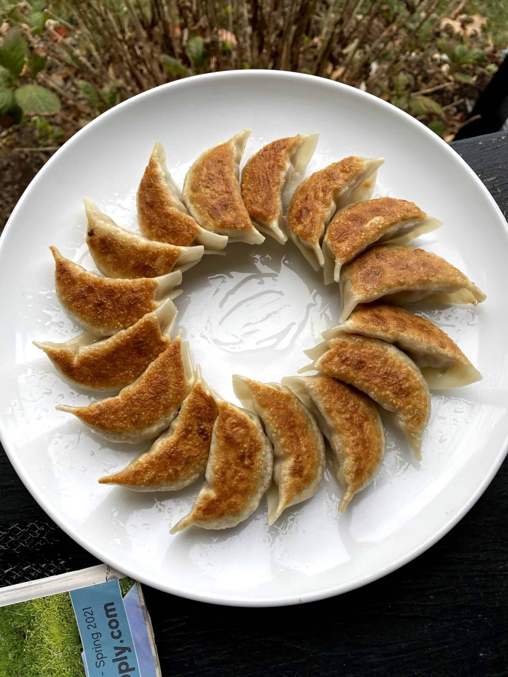 Gyōza: Japanese Pan-Fried Dumplings - Emmymade
